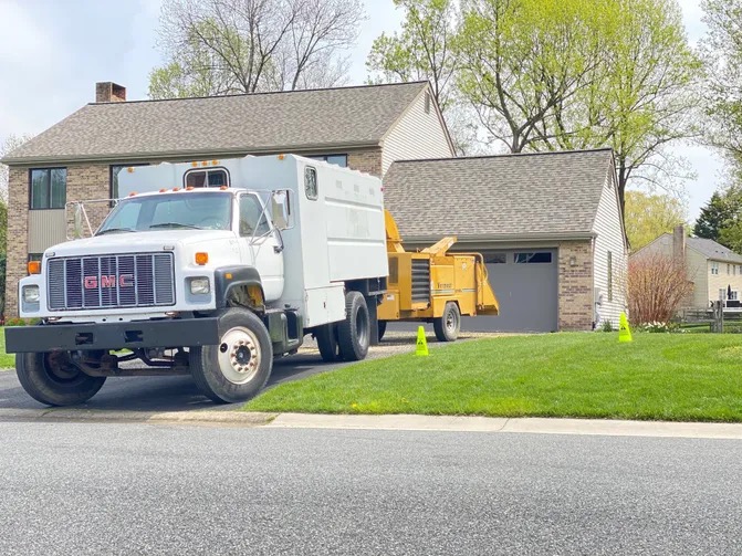 About - Revival Tree Care